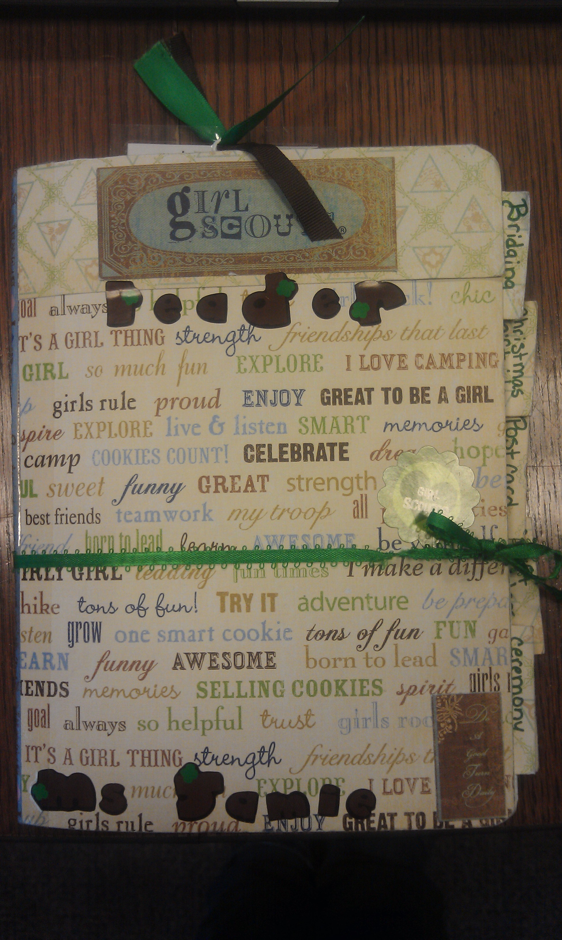 DIY Girl Scout Idea Book – Mom of 2 Peas
