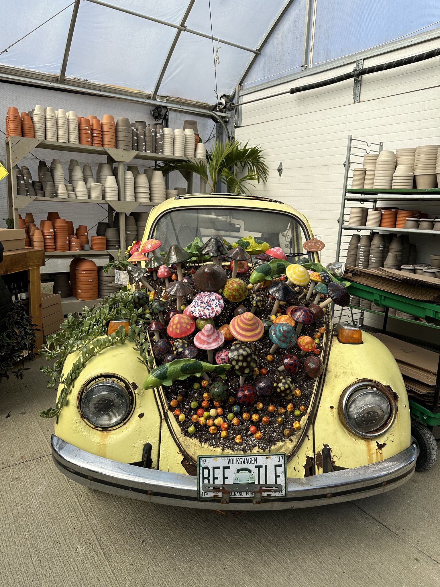 Mom of 2 Peas – One Mom Two Peas Navigating the World Around Them